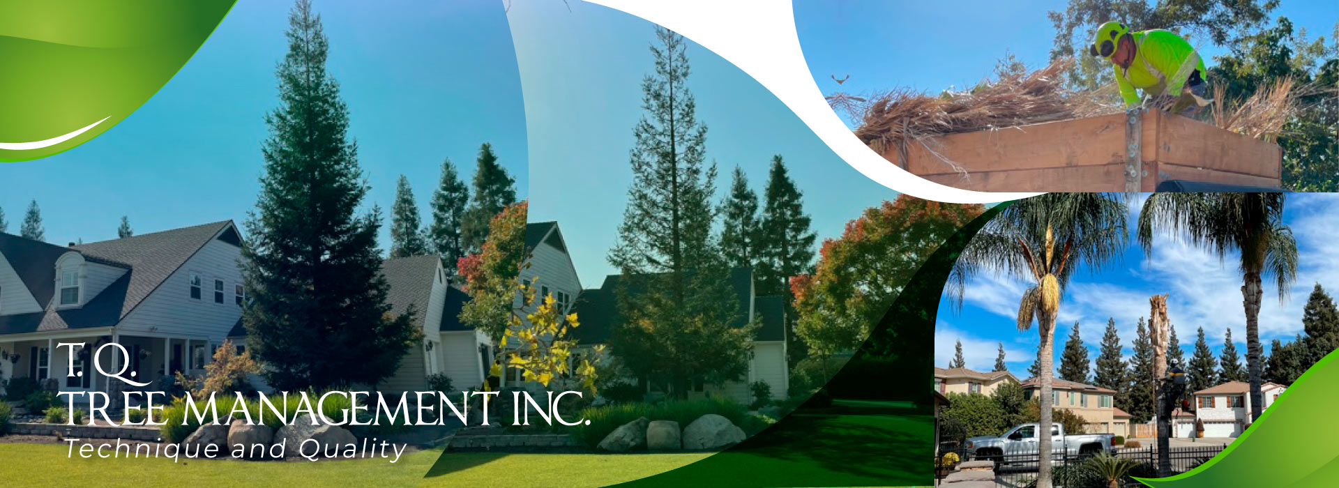 Tree Service Visalia Tulare Porterville Hanford